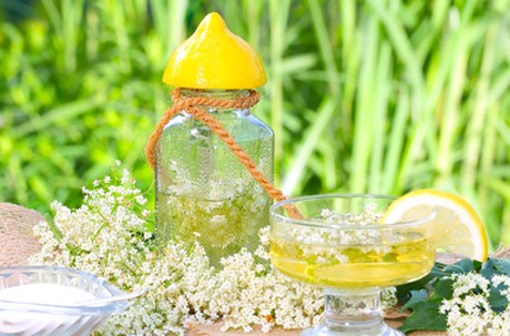 Holunderblüten Joghurt - Rezept